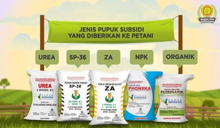 Harga Pupuk Subsidi Mulai Rp 2.000-an, Berikut Cara Membelinya pada ...